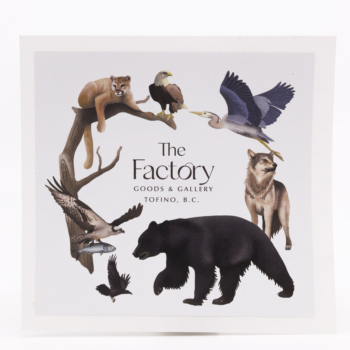 The Factory Stickers 🩷 | The Factory Tofino